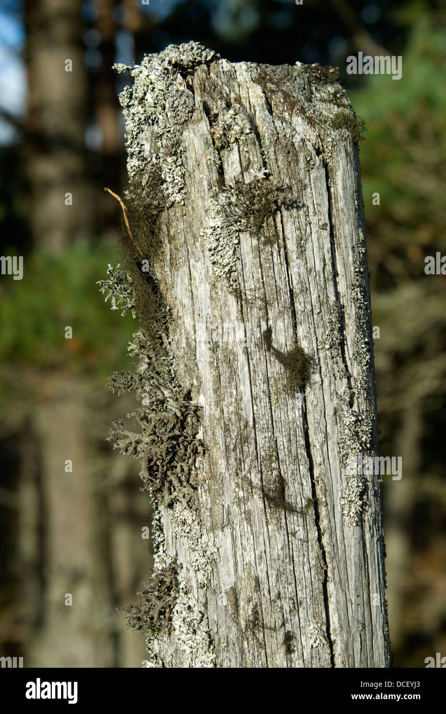Old gatepost hi-res stock photography and images - Alamy