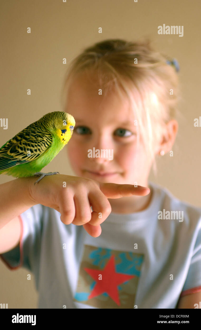 Little girl with a parakeet bird Stock Photo - Alamy