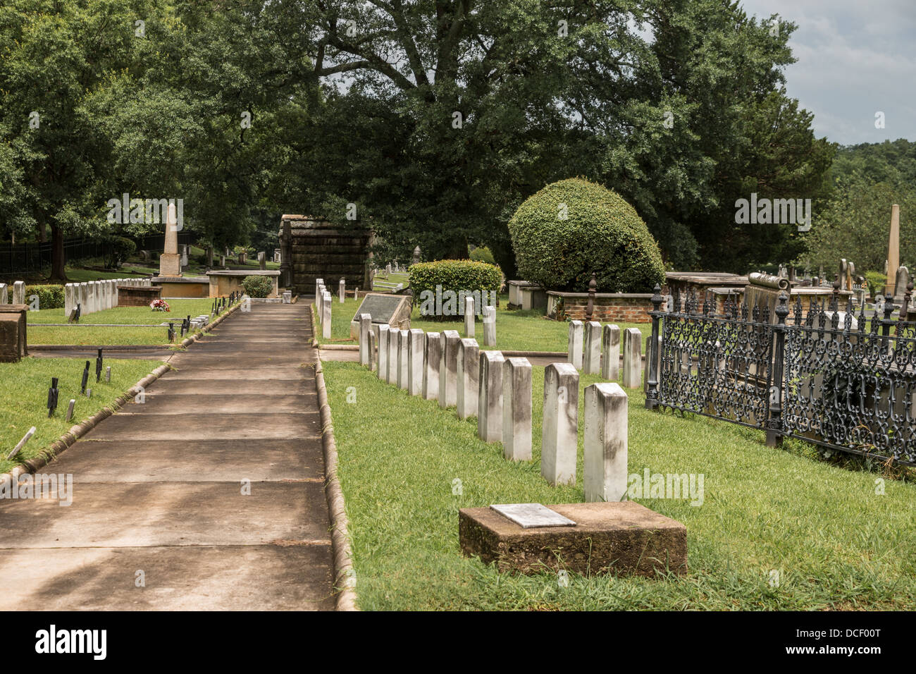 The springwood hi-res stock photography and images - Alamy