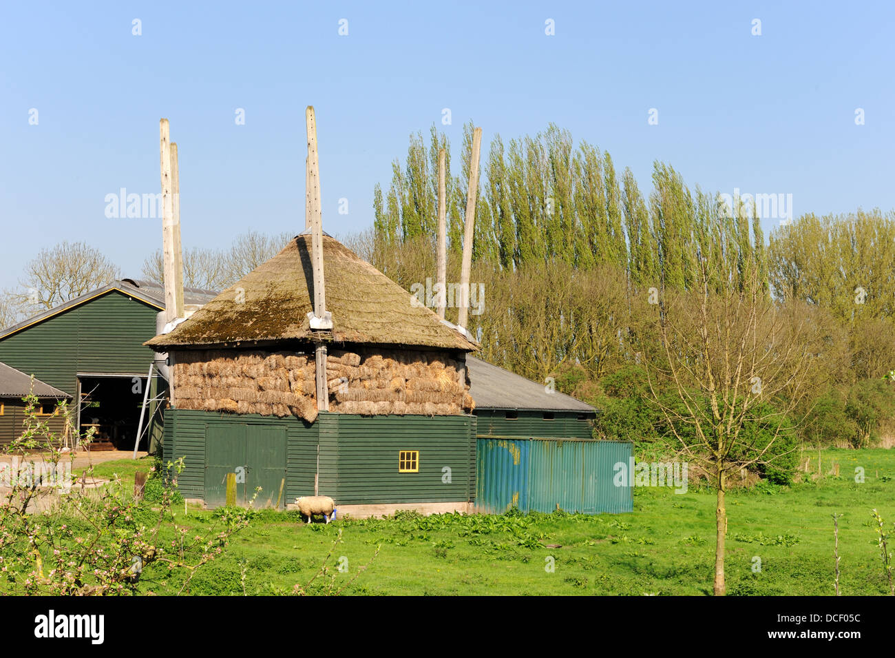 Dutch stable hi-res stock photography and images - Alamy