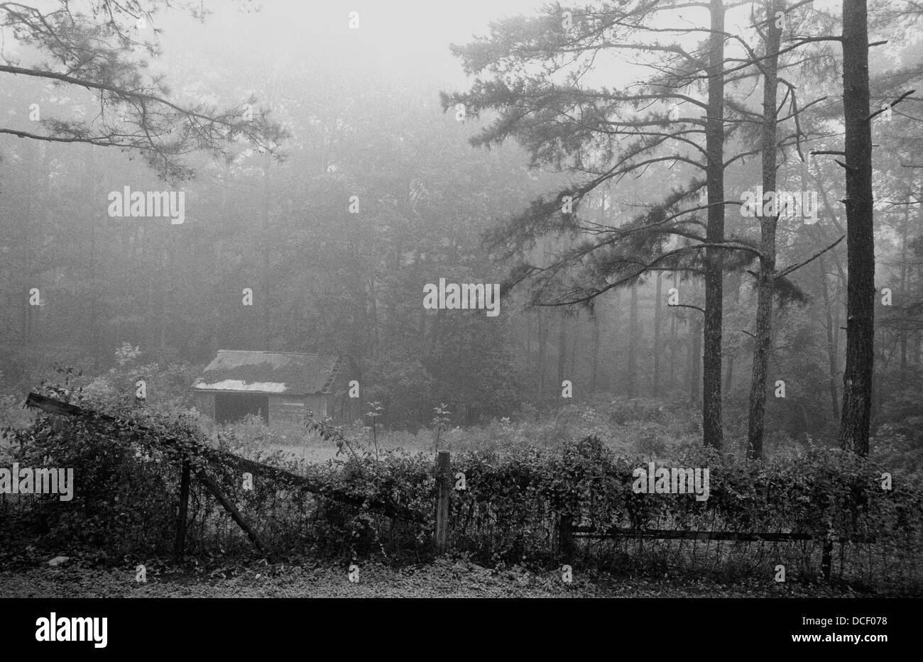 An old barn in a foggy early morning mist - monochromatic (black and ...