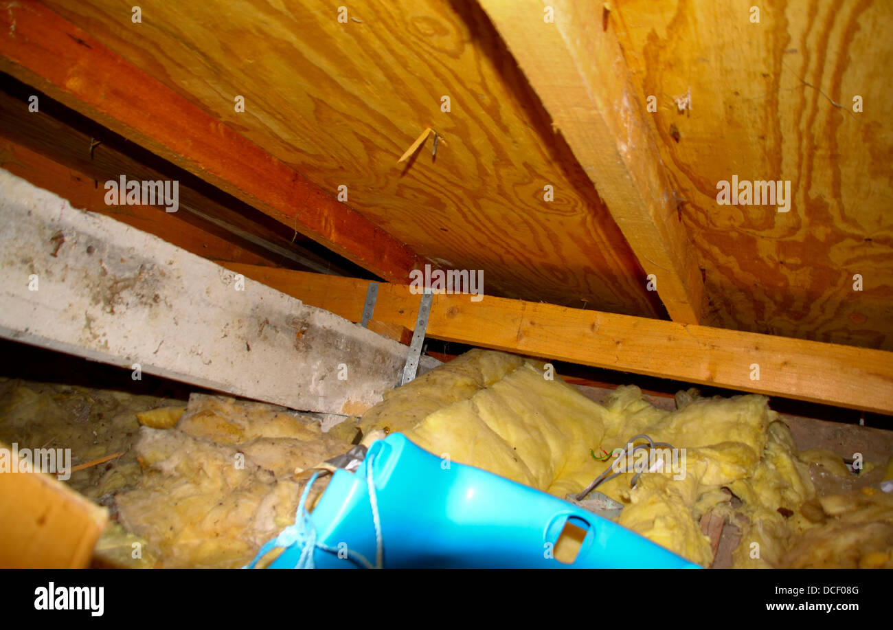 Timber roof purlins rafters hi-res stock photography and images - Alamy