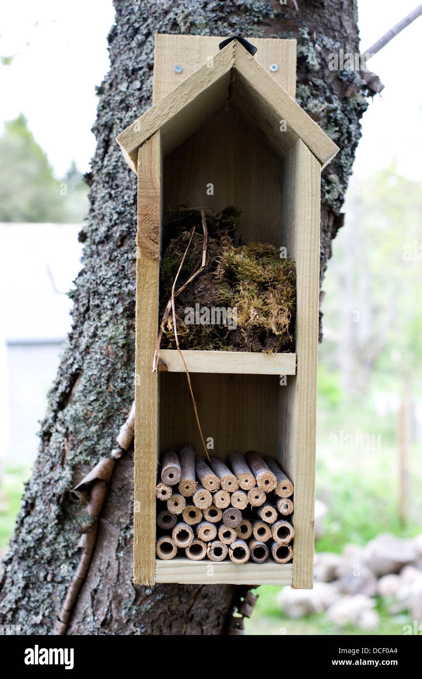 Bug box hi-res stock photography and images - Alamy