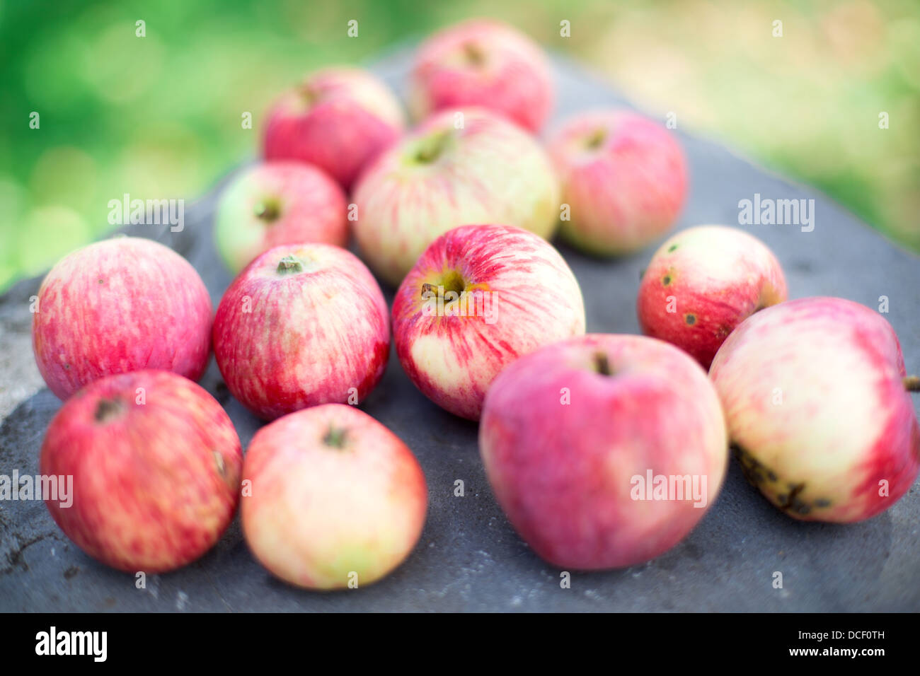 Nutritious rock hi-res stock photography and images - Alamy