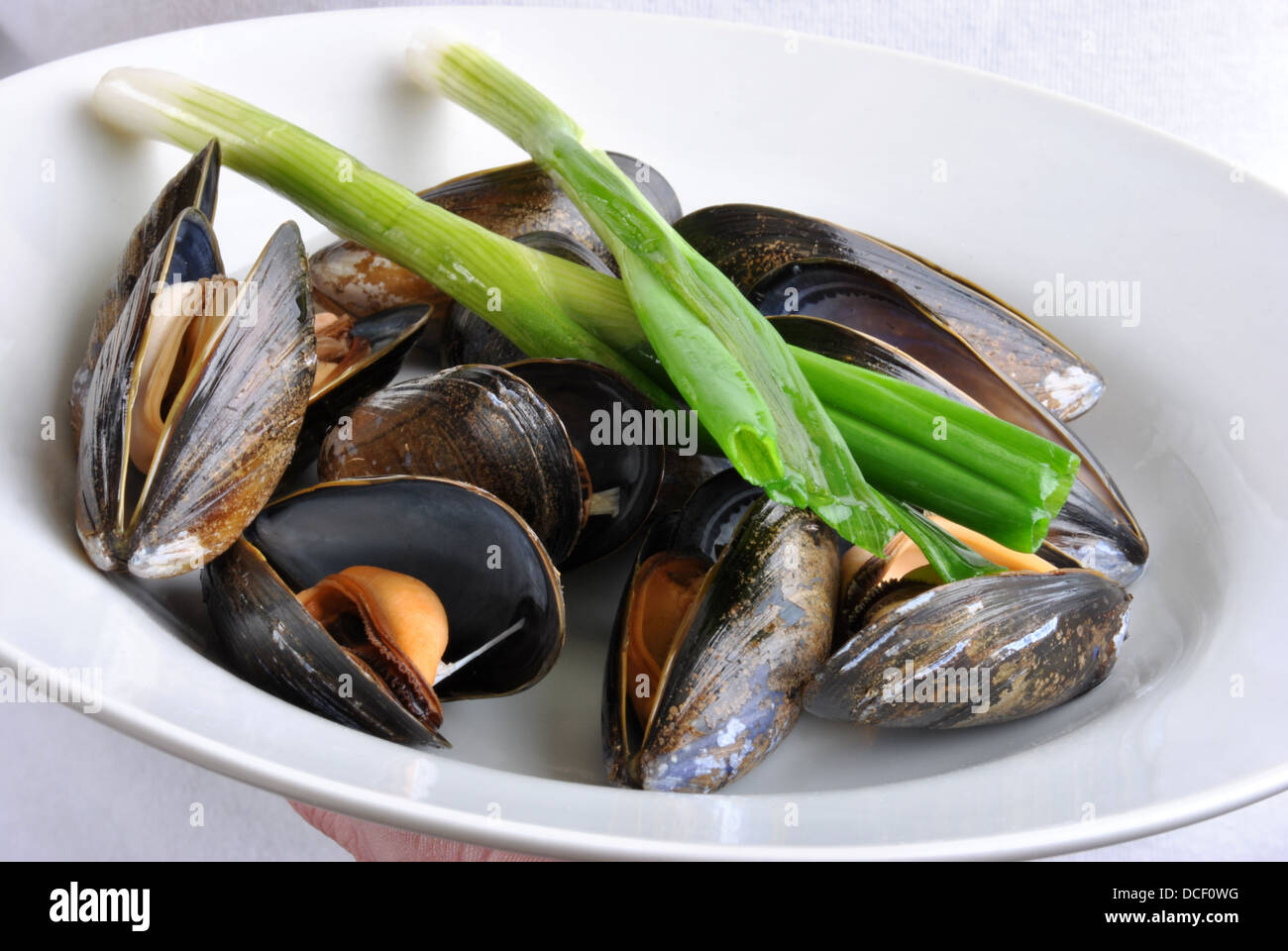 cooked and opened organic mussel ready to eat Stock Photo - Alamy