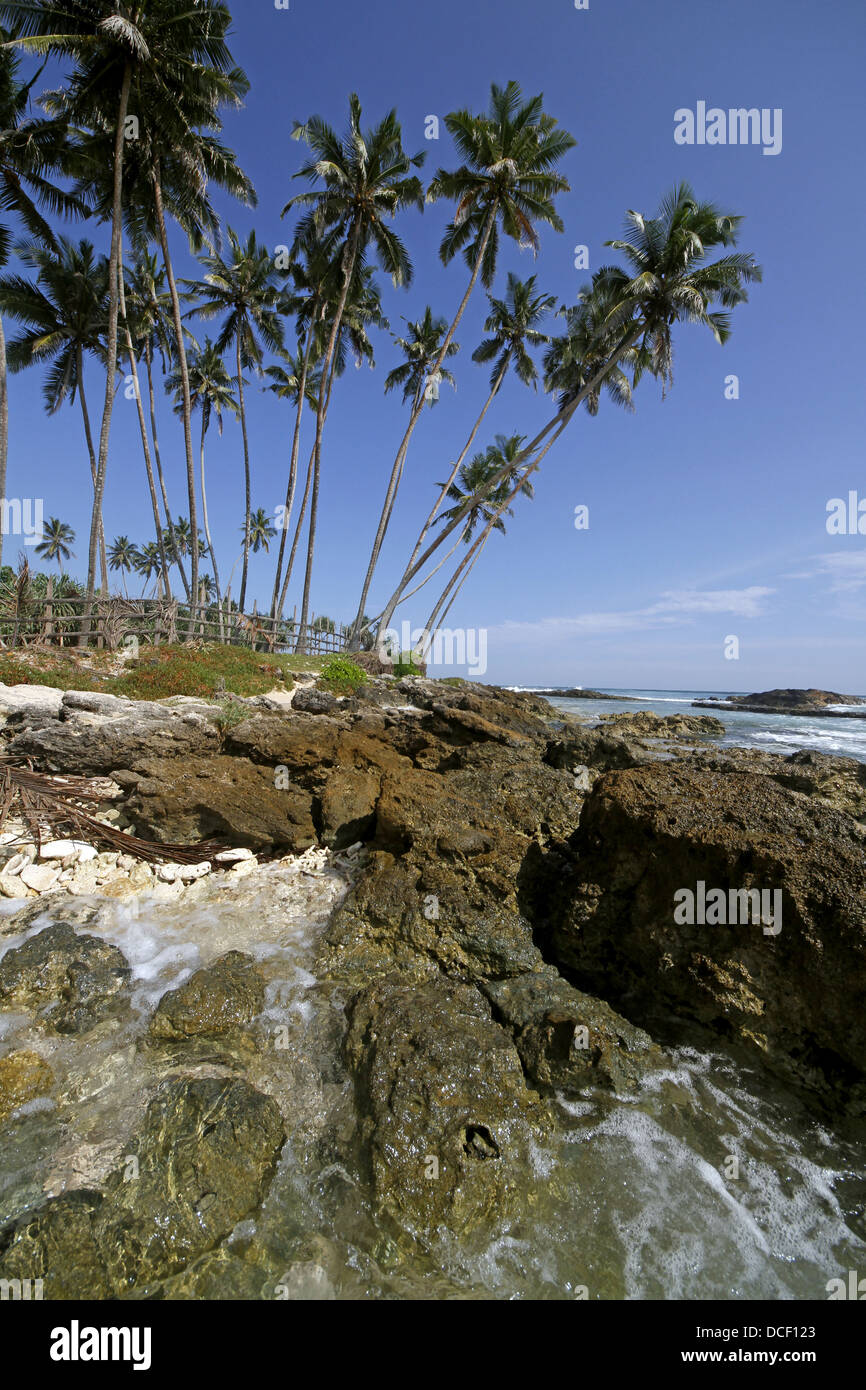 Bay with palm trees hi-res stock photography and images - Alamy