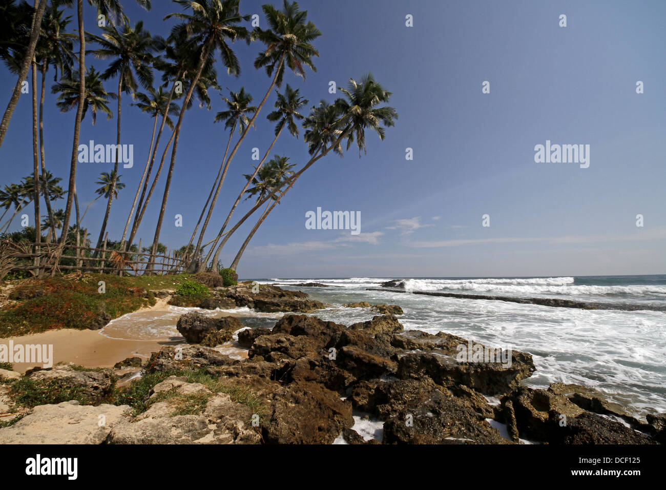 Bay with palm trees hi-res stock photography and images - Alamy