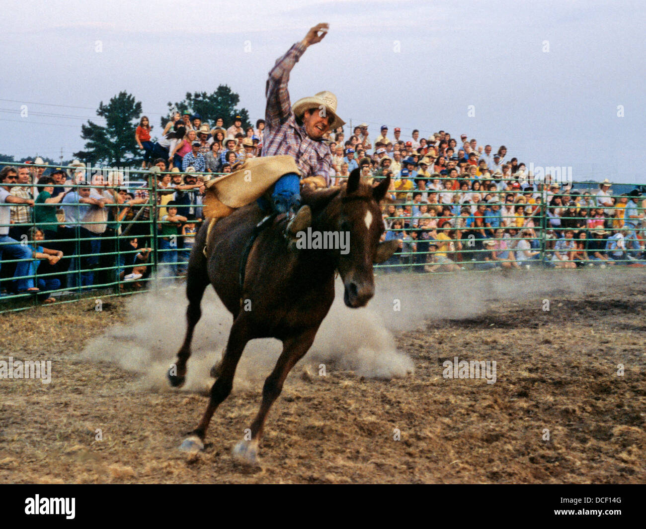 A rodeo rider on a bucking bronco (horse) in front of a crowd (audience ...