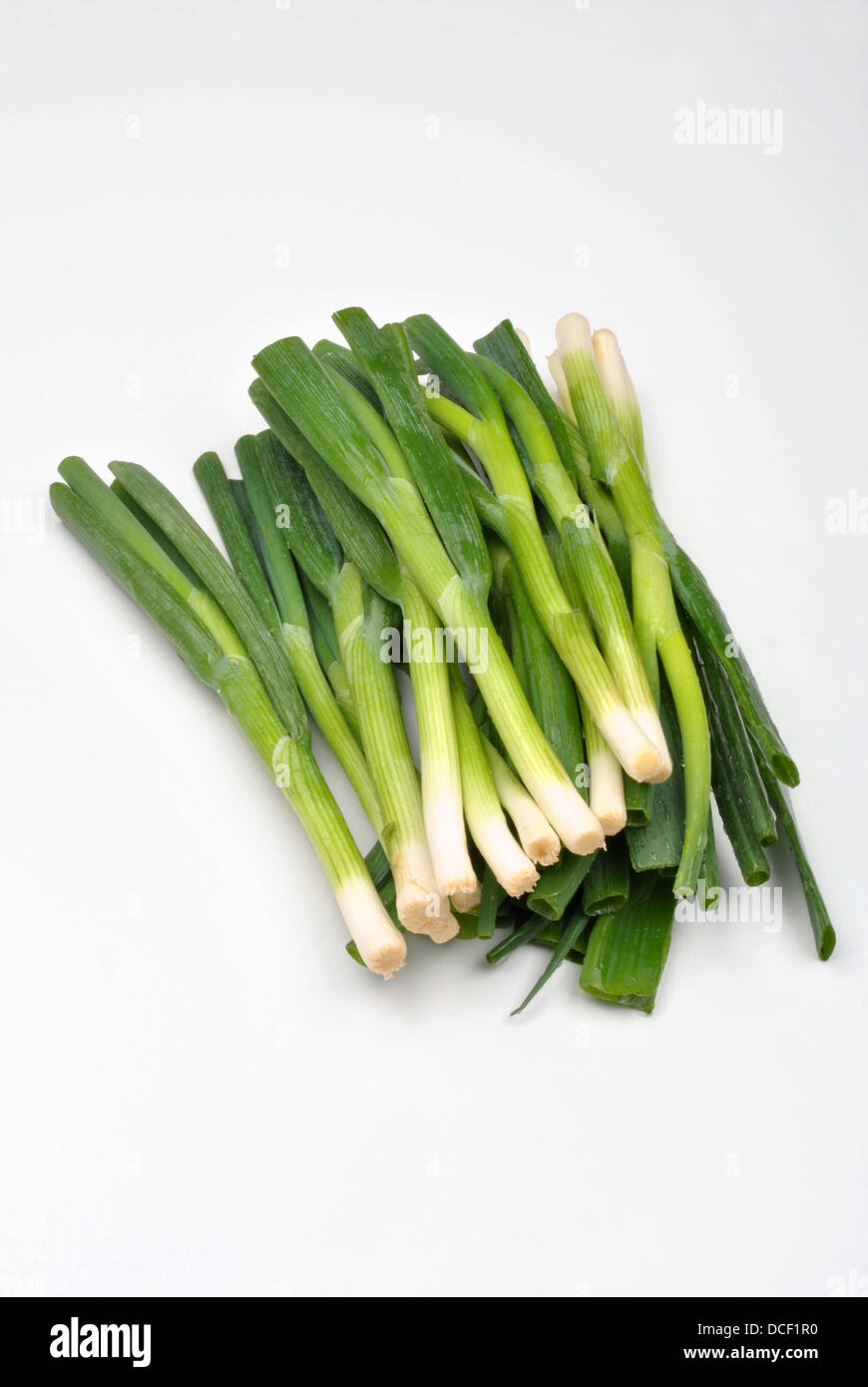 organic spring onion on a bright background Stock Photo - Alamy