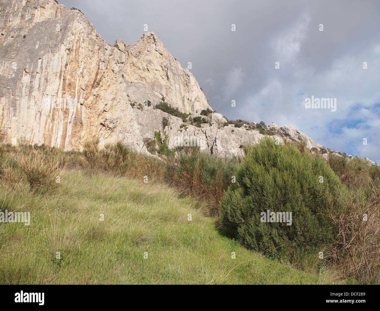 trees, sky and rock Stock Photo - Alamy