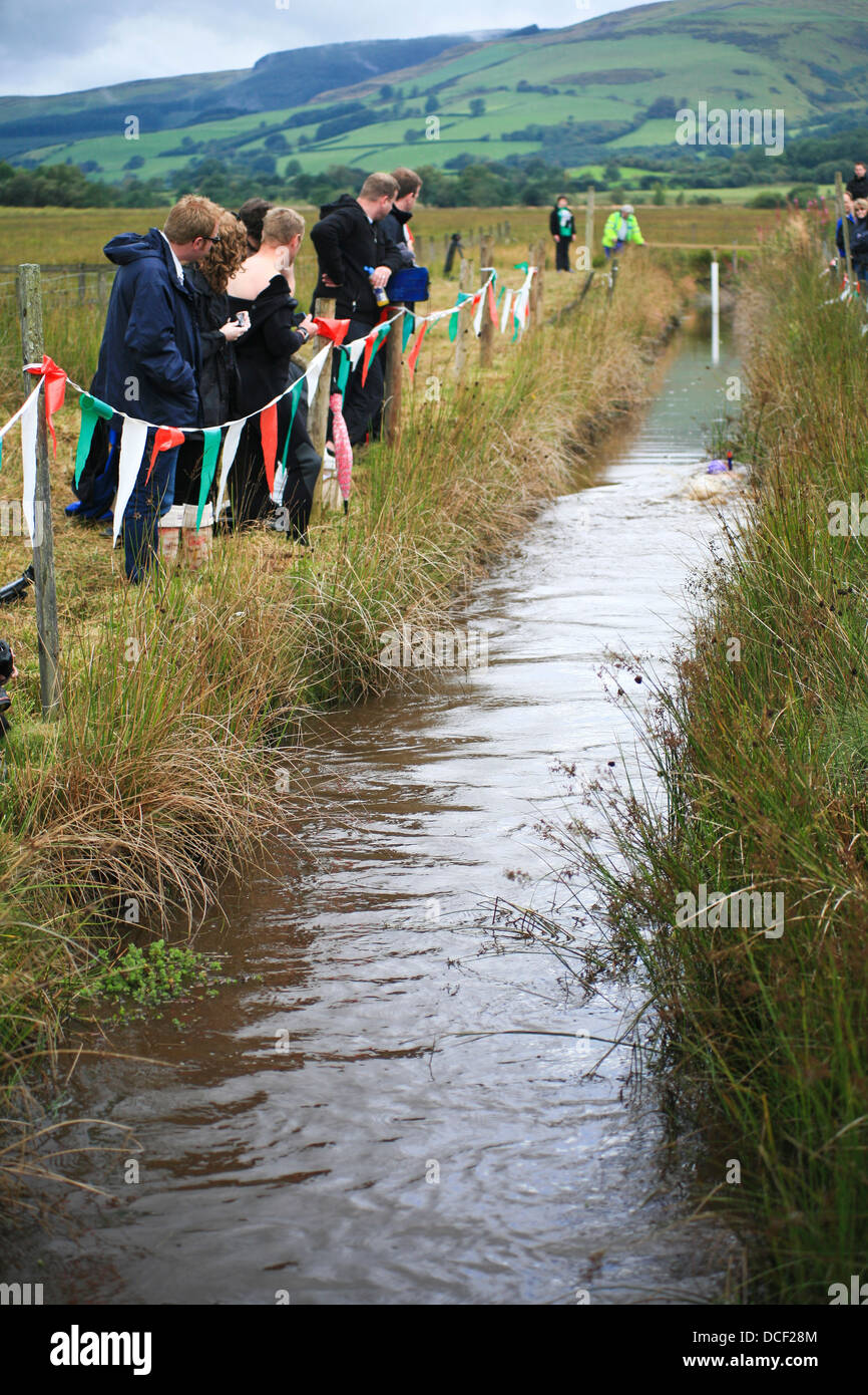 A crowd watches someone swimming in the bog-snorkelling championship in ...