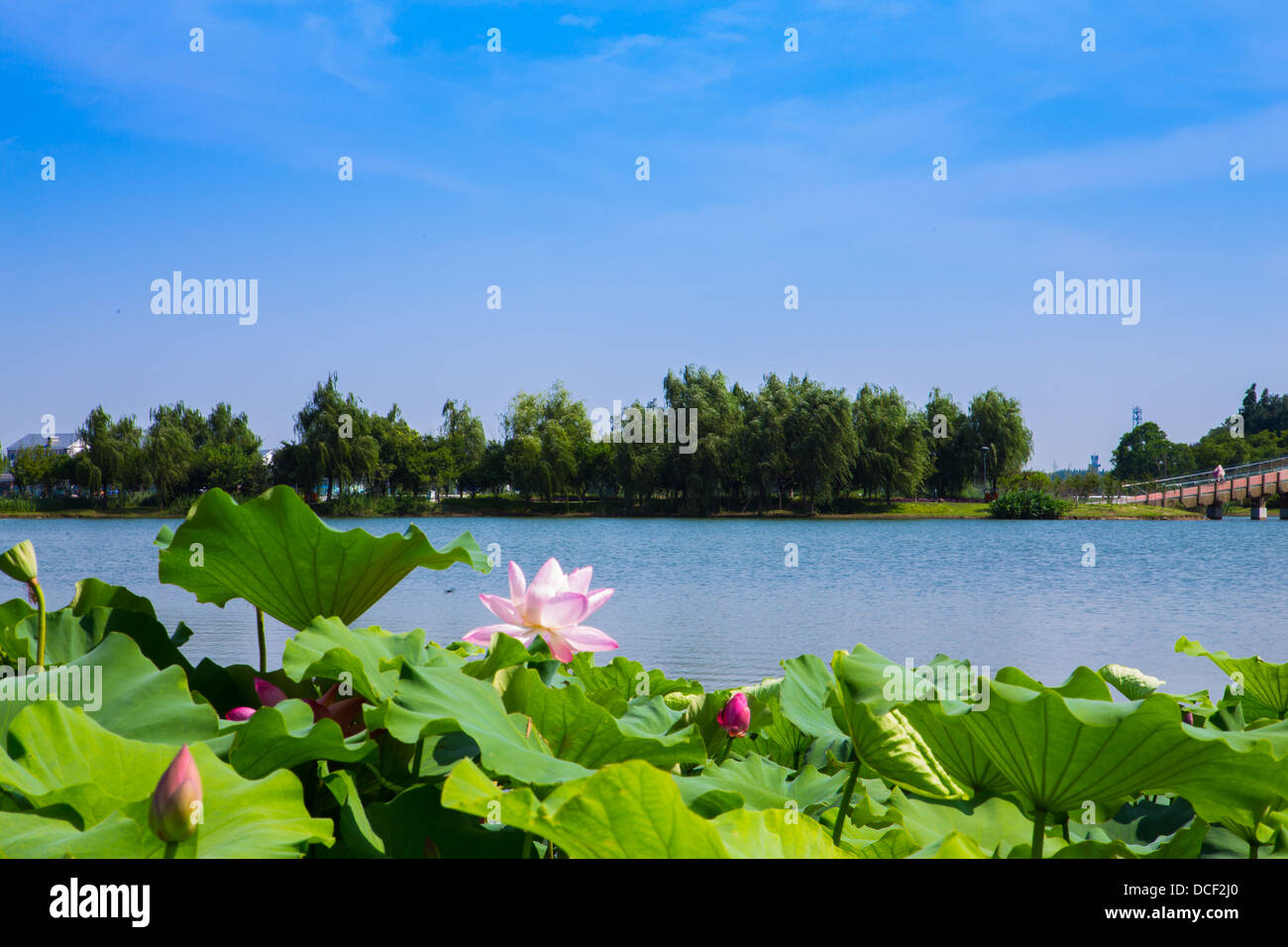 Jinshan temple hi-res stock photography and images - Alamy