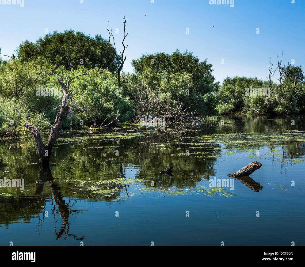 Danube river Delta, beautiful landscape, Romania, Dobrogea, UNESCO ...