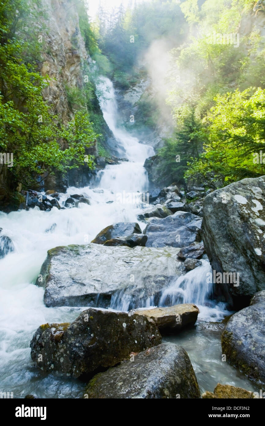 Reid waterfall hi-res stock photography and images - Alamy