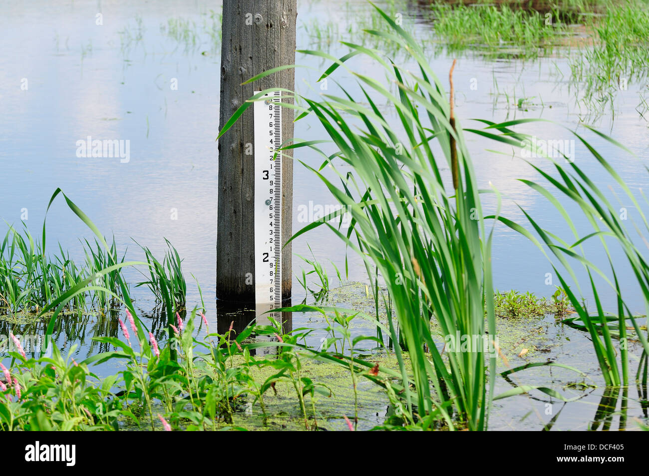Level chart hi-res stock photography and images - Alamy