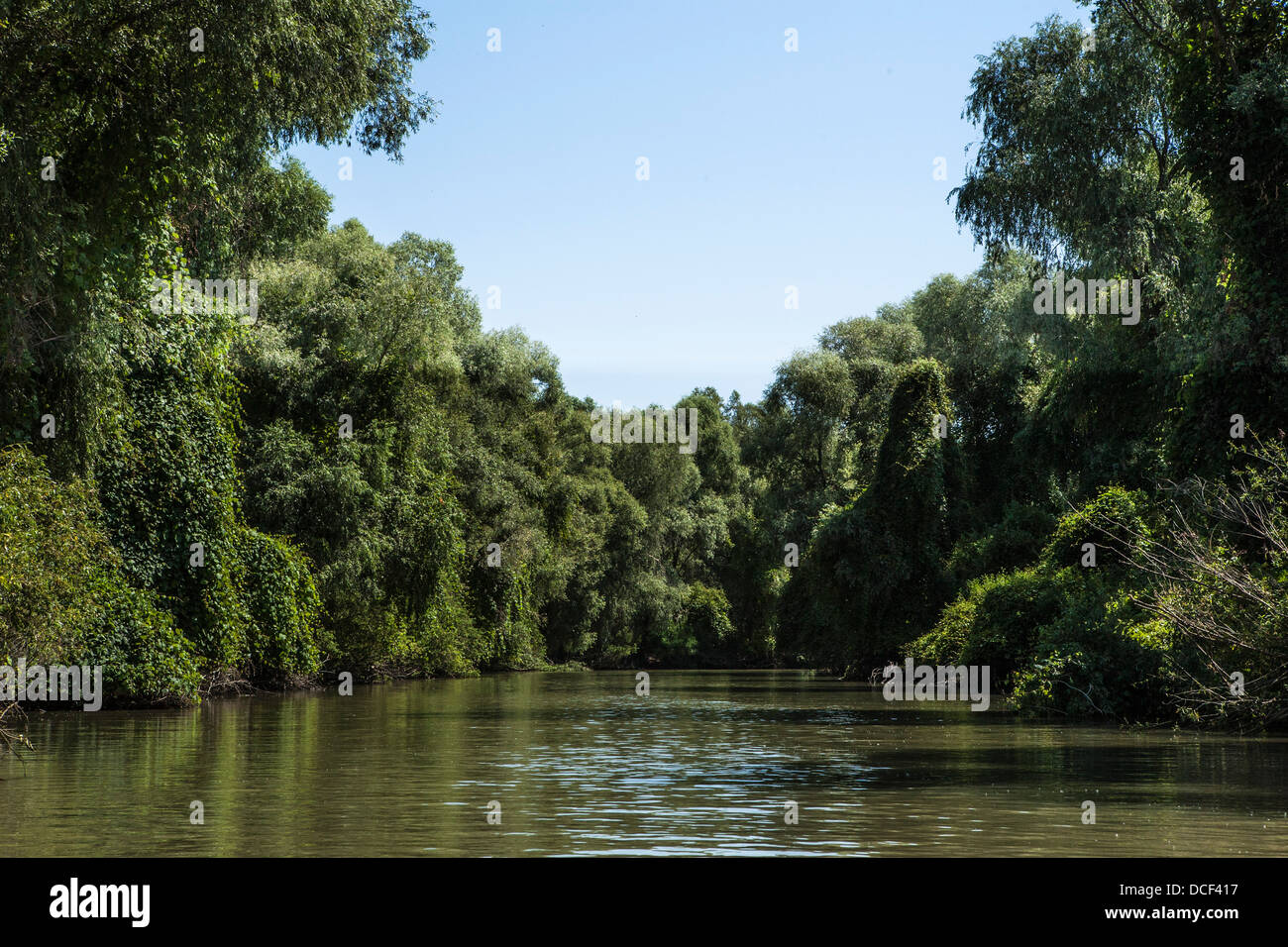 Danube river Delta, beautiful landscape, one of the local channels near ...