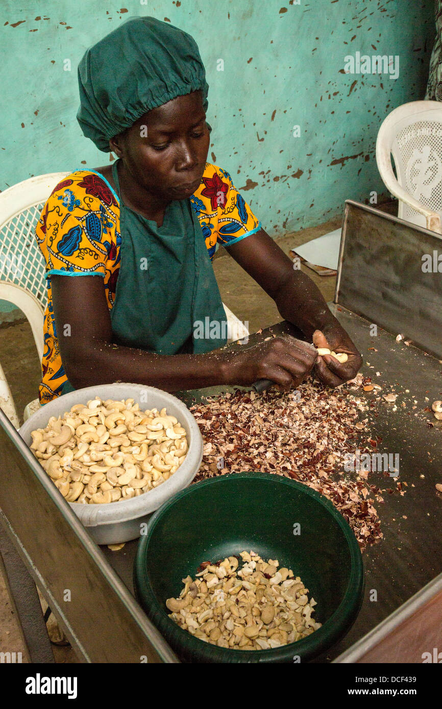 Woman Hulling Cashew Nuts. Group Juboo Cashew Processing Center, Fass ...