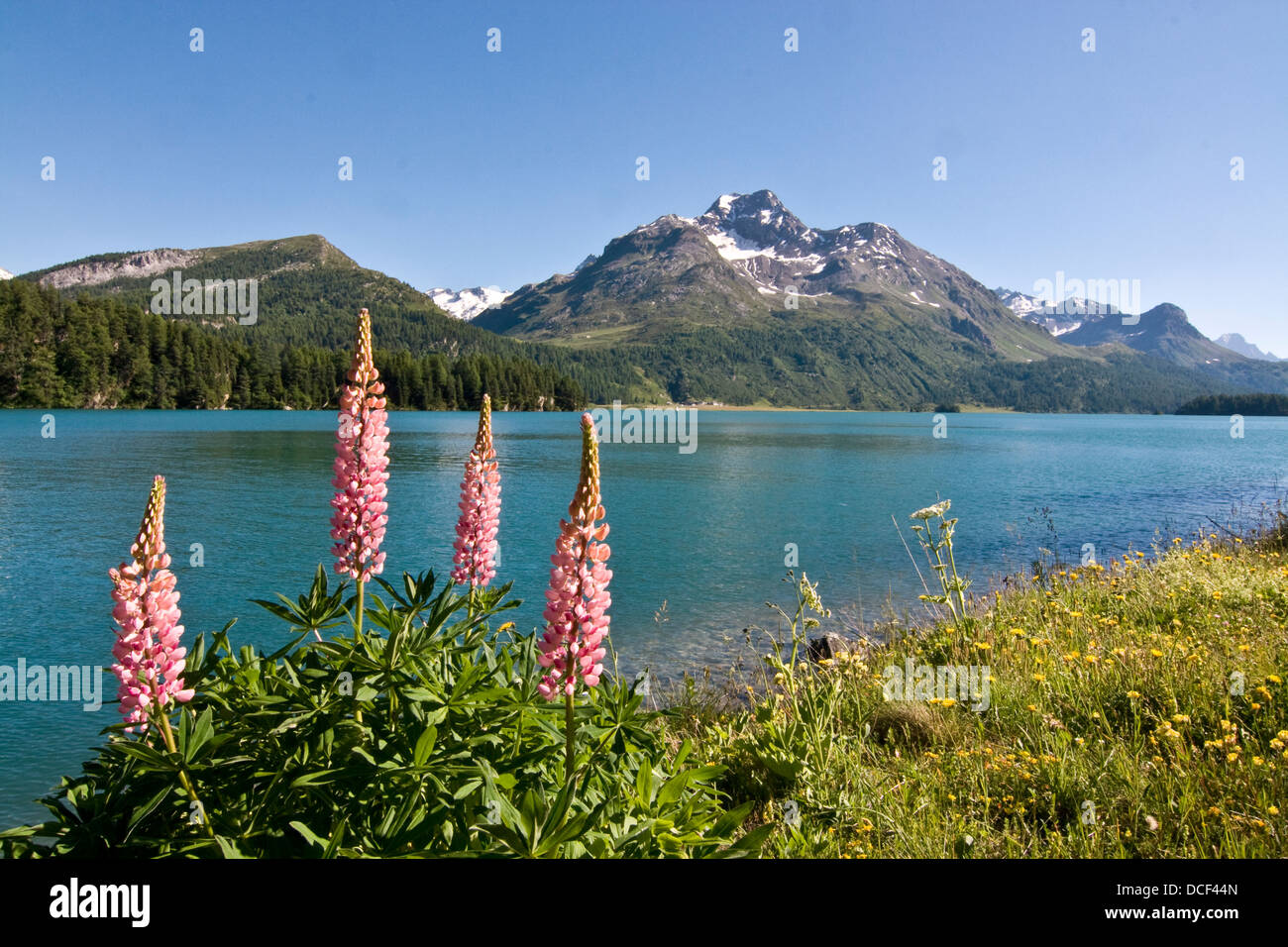 Sommer am berg hi-res stock photography and images - Alamy
