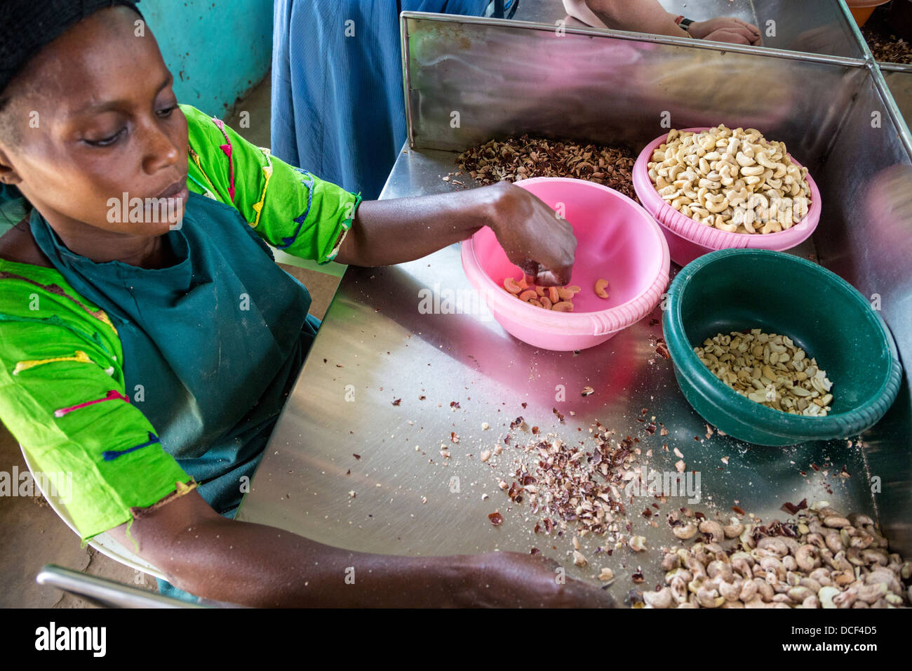 Woman Hulling Cashew Nuts. Group Juboo Cashew Processing Center, Fass ...