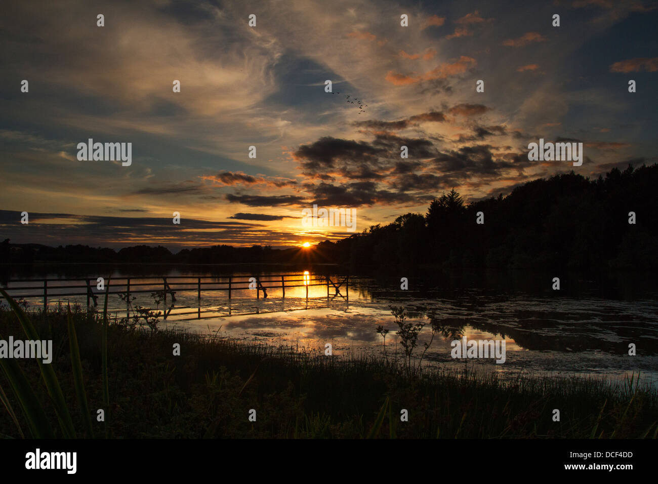 Forfar loch hi-res stock photography and images - Alamy