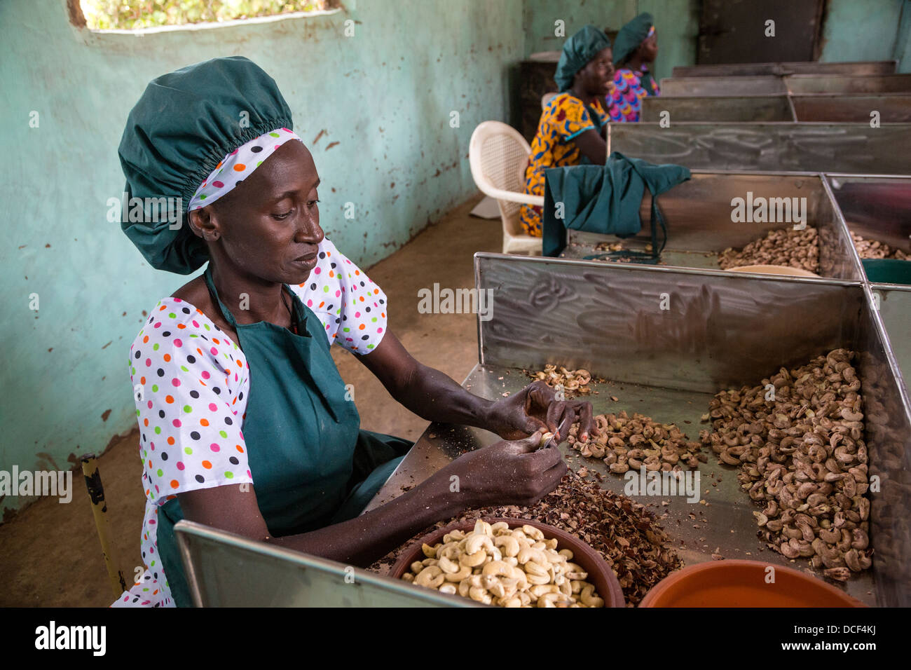 Woman Hulling Cashew Nuts. Group Juboo Cashew Processing Center, Fass ...