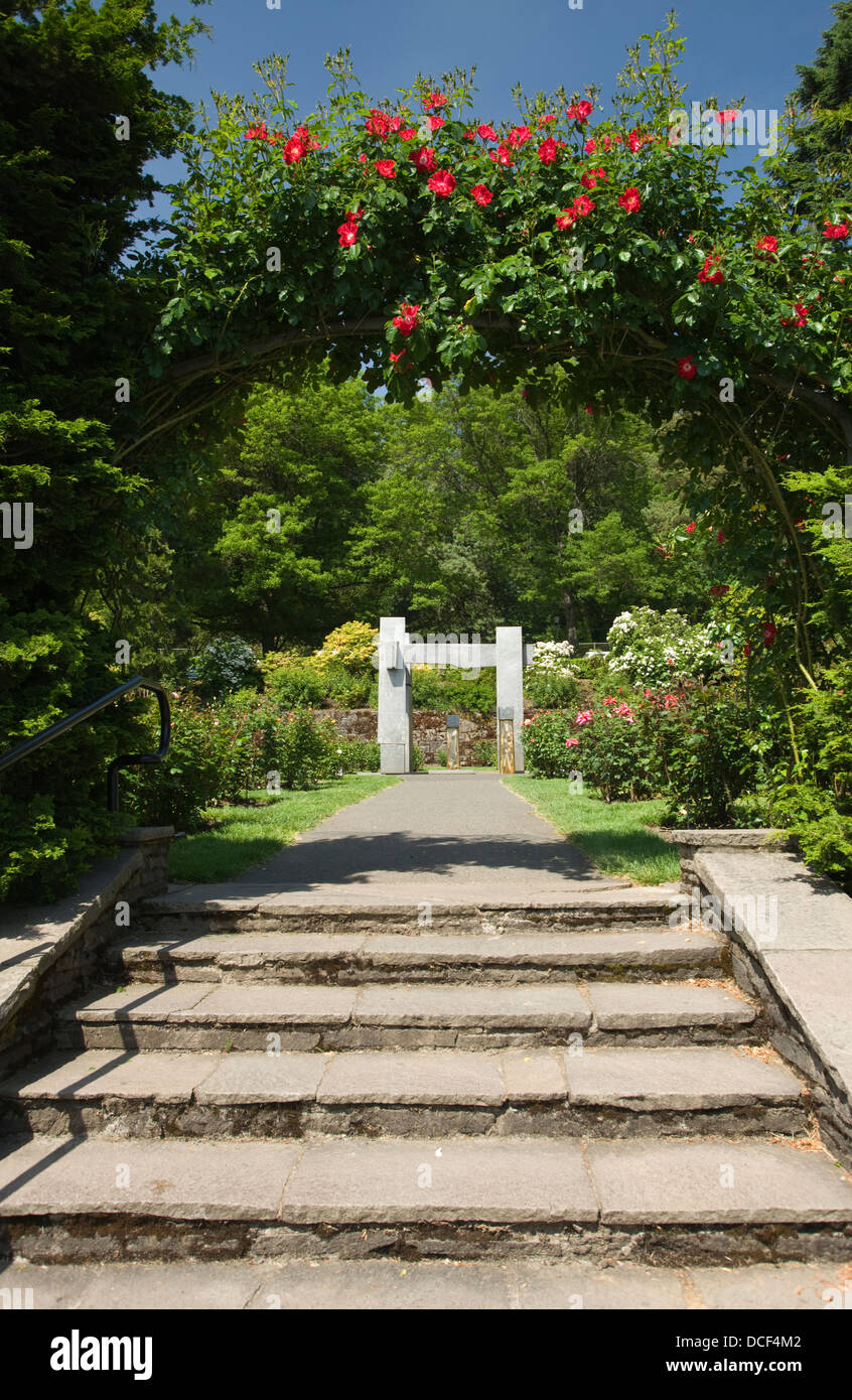 Rose Arbor Stock Photos & Rose Arbor Stock Images - Alamy