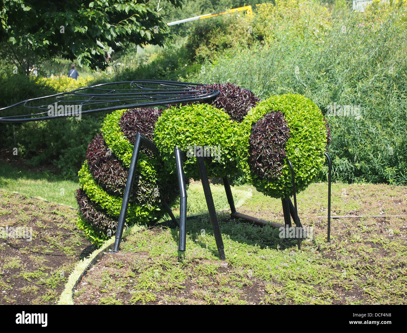 Insect made of plants Stock Photo - Alamy