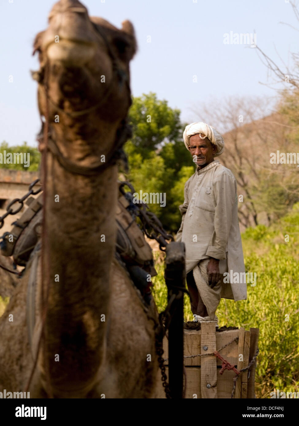 Camel Drawn Carts High Resolution Stock Photography and Images - Alamy