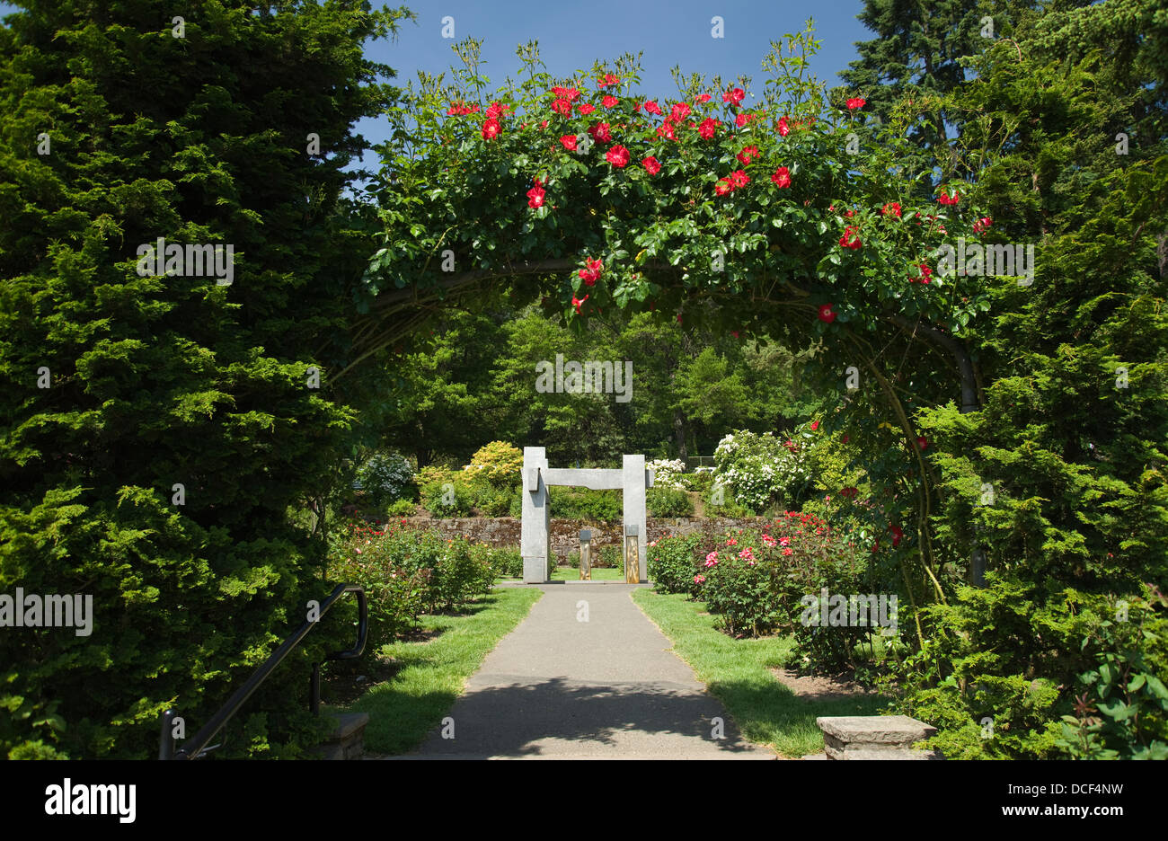 CLIMBING ROSE COVERED ARBOR INTERNATIONAL ROSE TEST GARDEN WASHINGTON ...