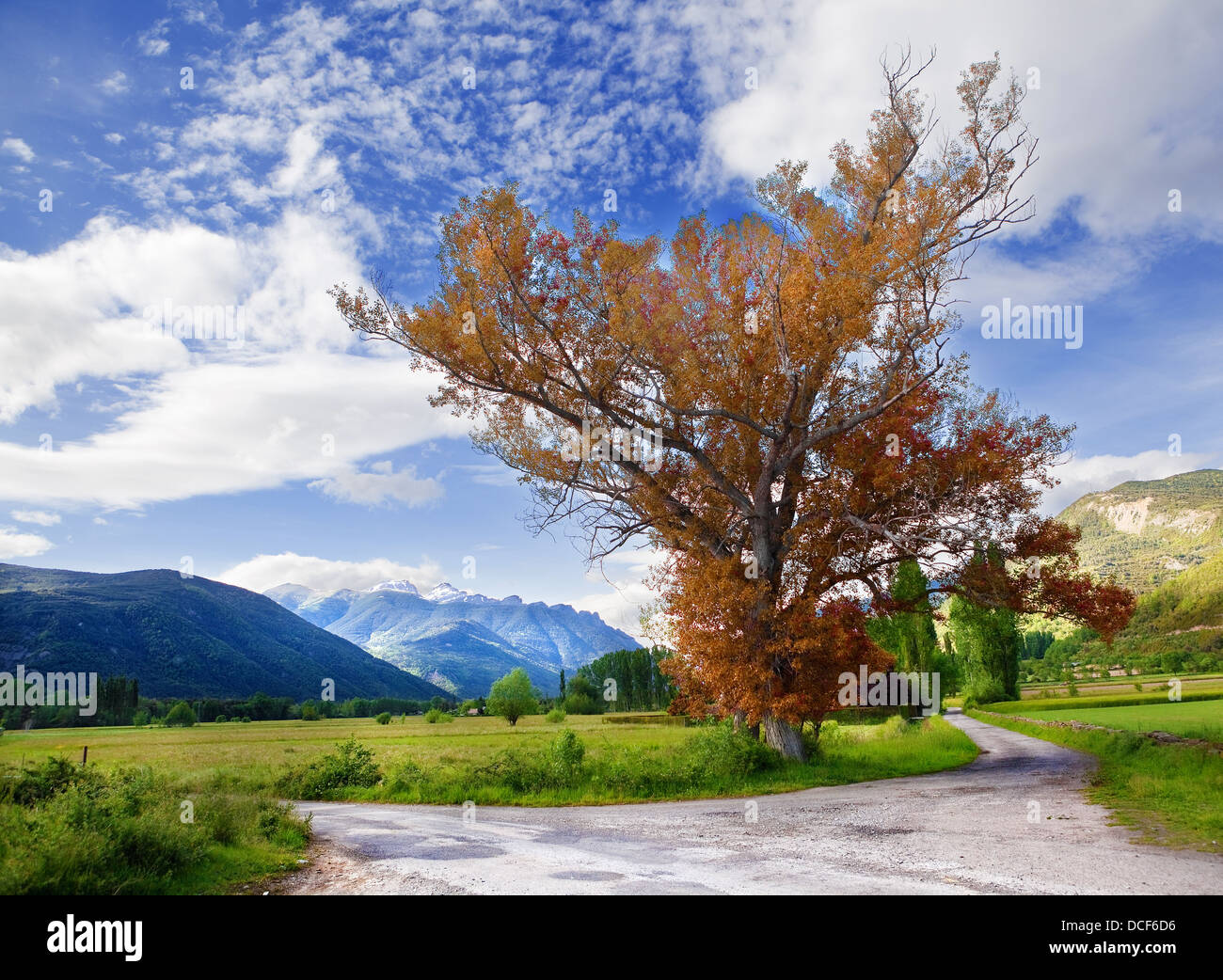 Road and landscape Stock Photo - Alamy