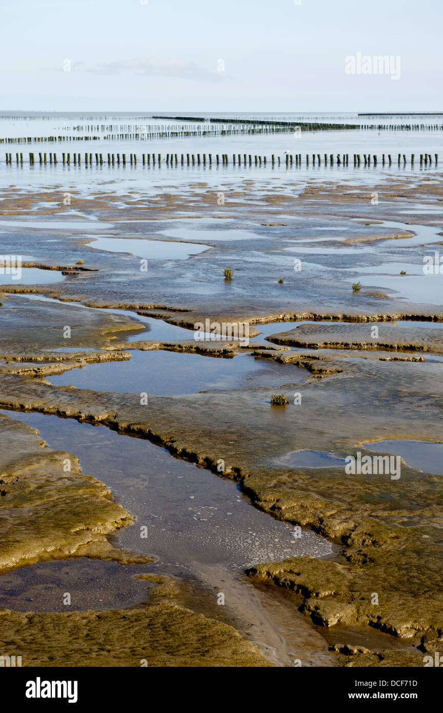 Tidal ebb hi-res stock photography and images - Alamy