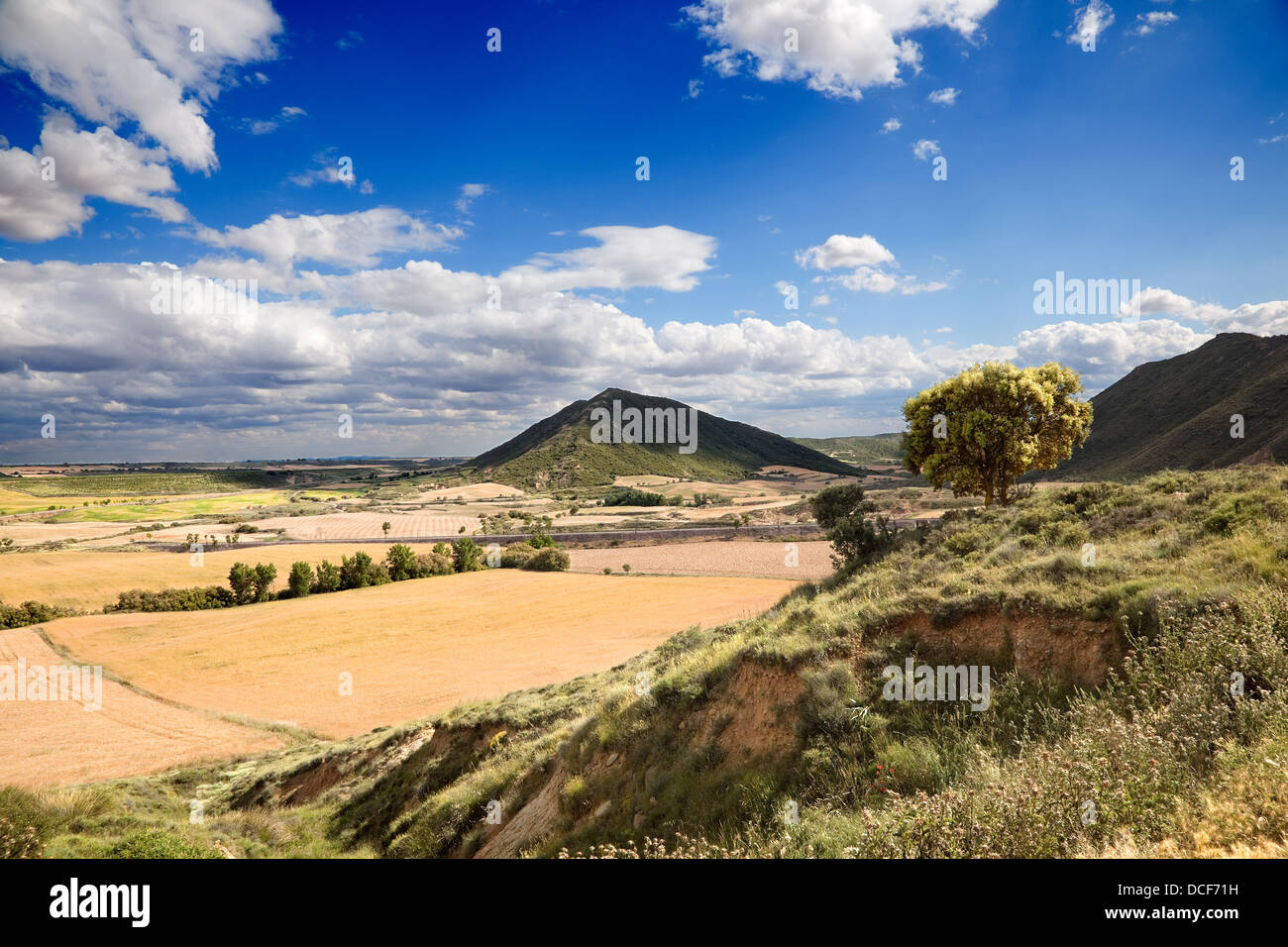 Landscape And Tree Stock Photo - Alamy
