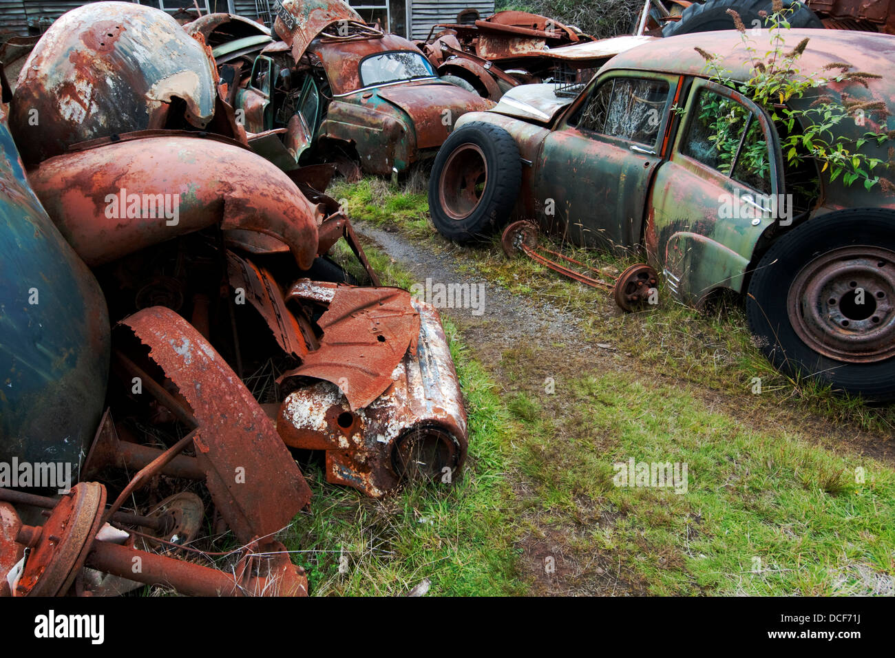 Acres of ground covered with every make of old cars mainly British ...