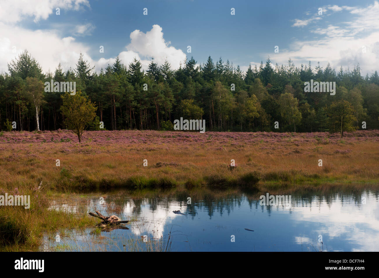 August landscape nature hi-res stock photography and images - Alamy