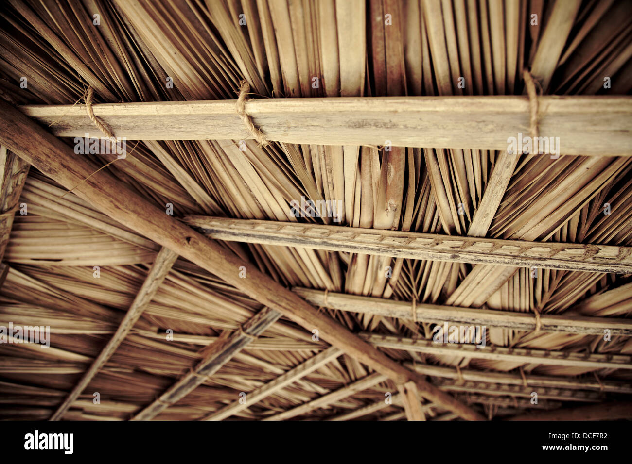 dried palm tree leaves palapa roof and beams view from under Stock ...