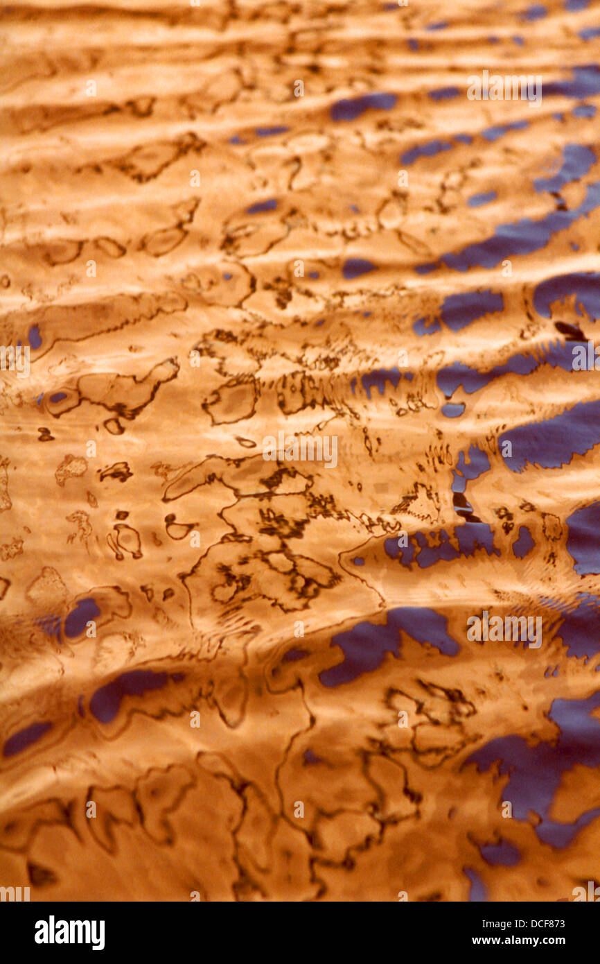 Snaky Water Reflection Stock Photo - Alamy