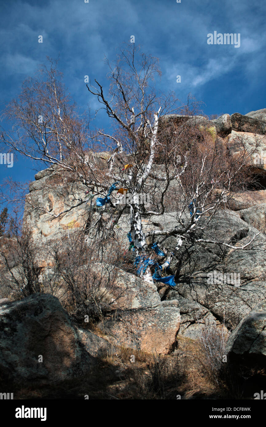 Sacred tree in Terelj National Park, Mongolia Stock Photo - Alamy