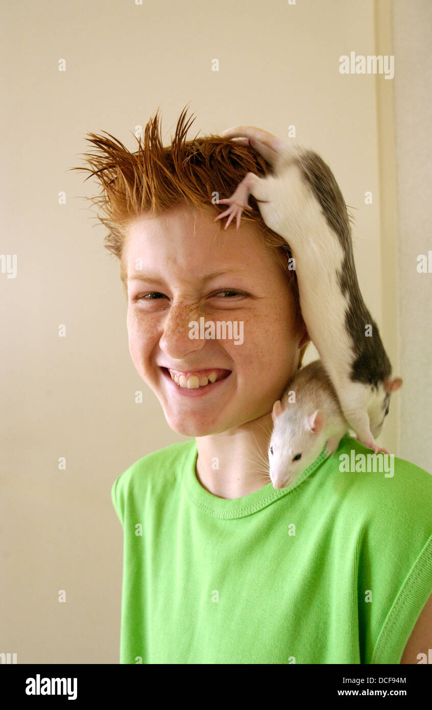Pet rat hi-res stock photography and images - Alamy