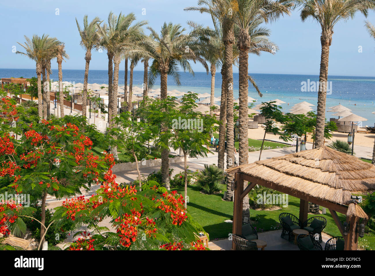 Beaches in red sea resort hi-res stock photography and images - Alamy