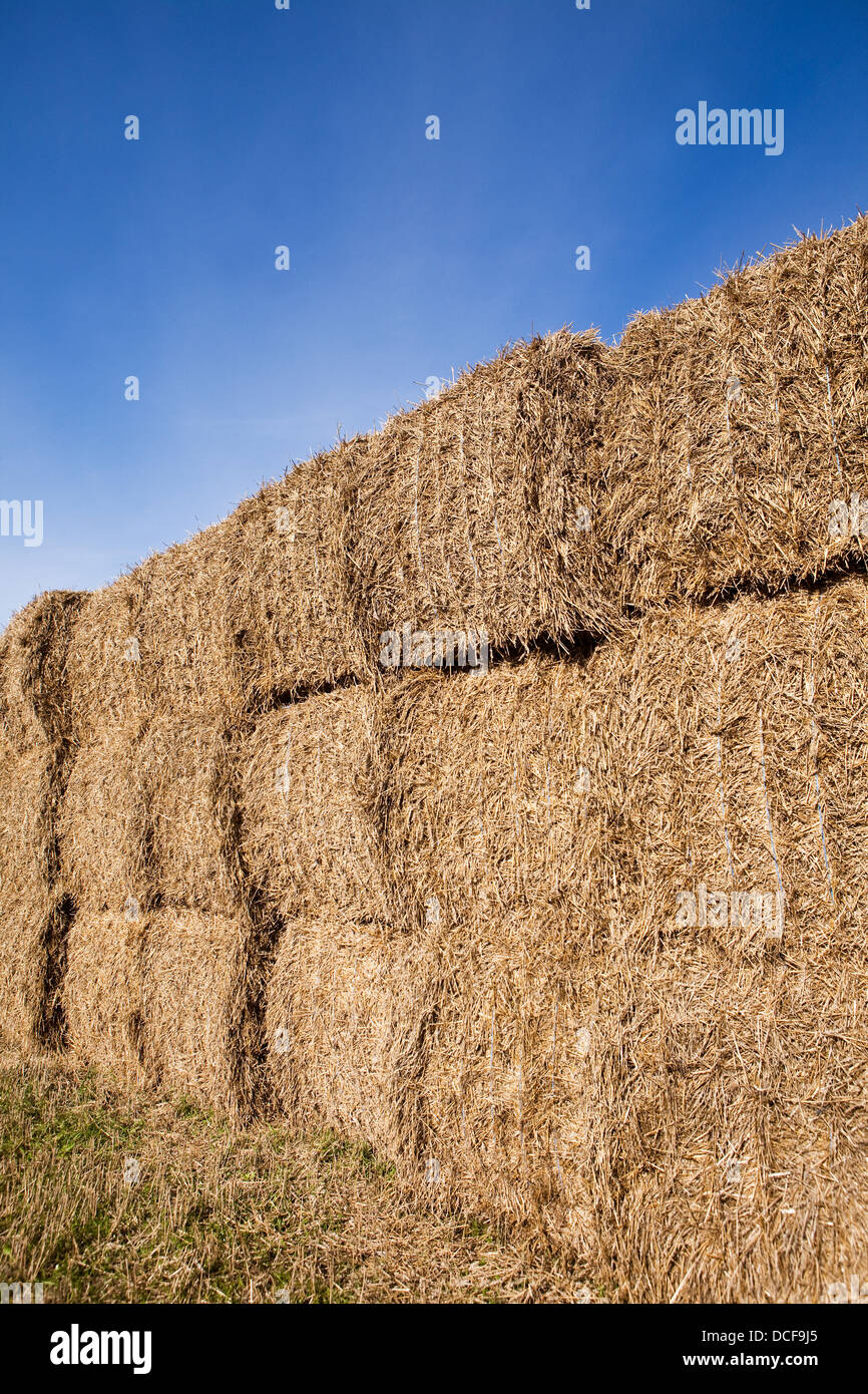 Bale of Haystack Stock Photo - Alamy