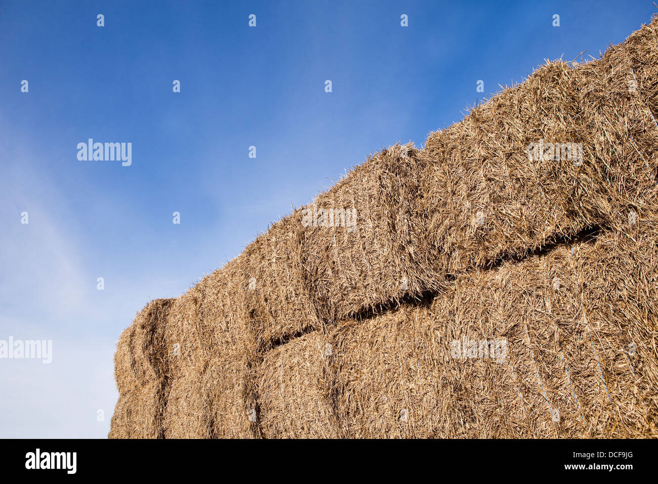 Bale of Haystack Stock Photo - Alamy