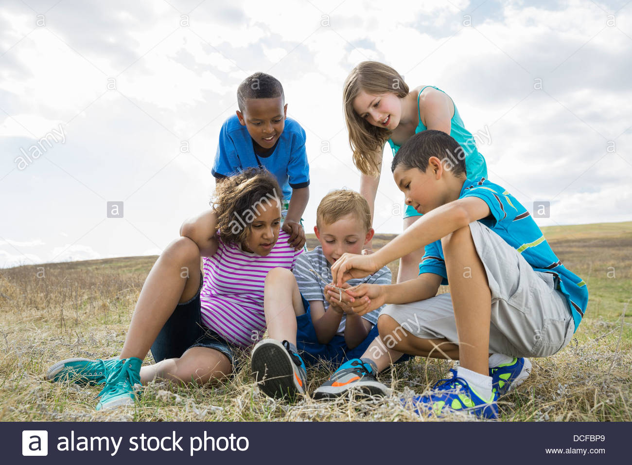Child looking at insects hi-res stock photography and images - Alamy