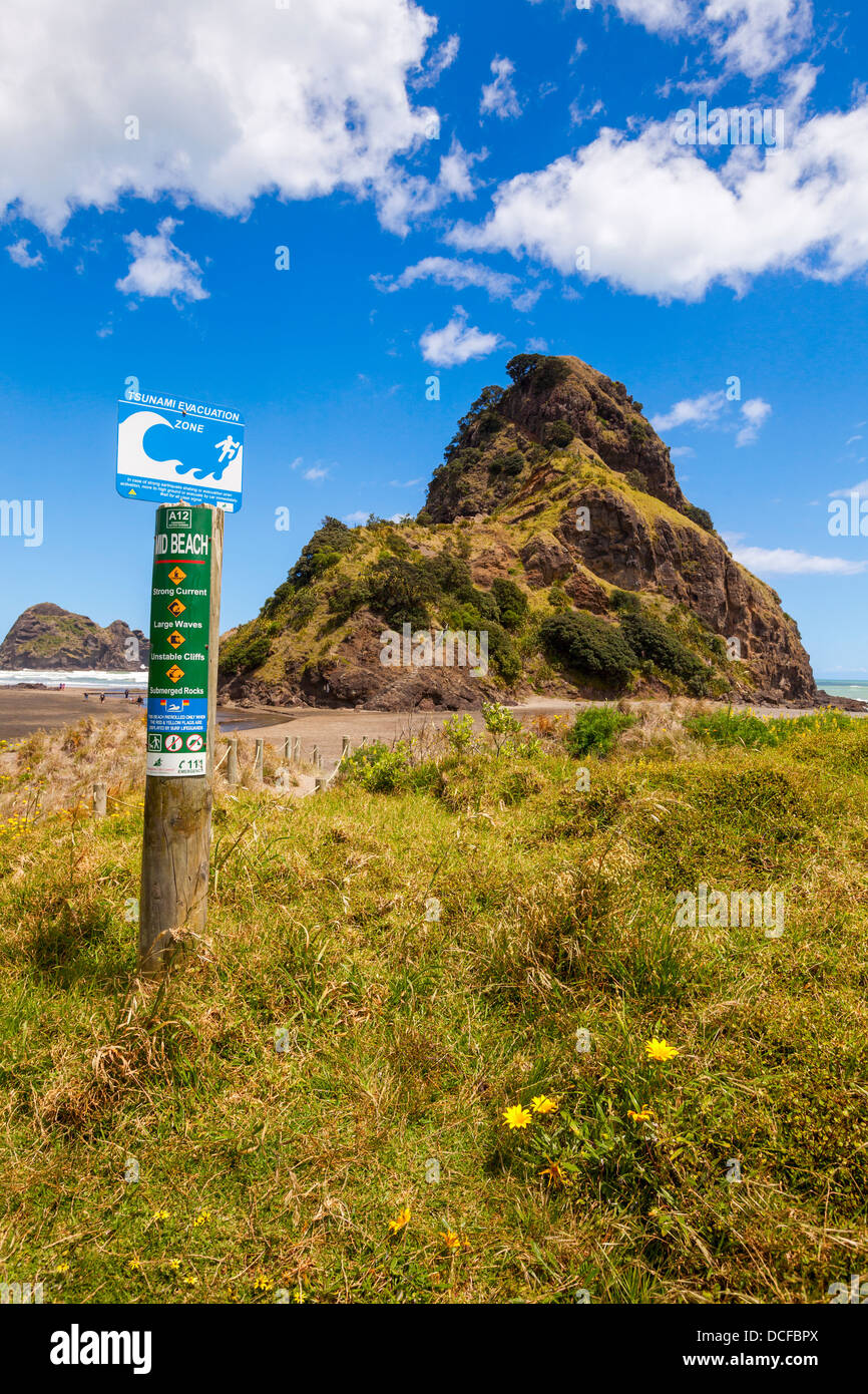 Auckland region new zealand hi-res stock photography and images - Alamy