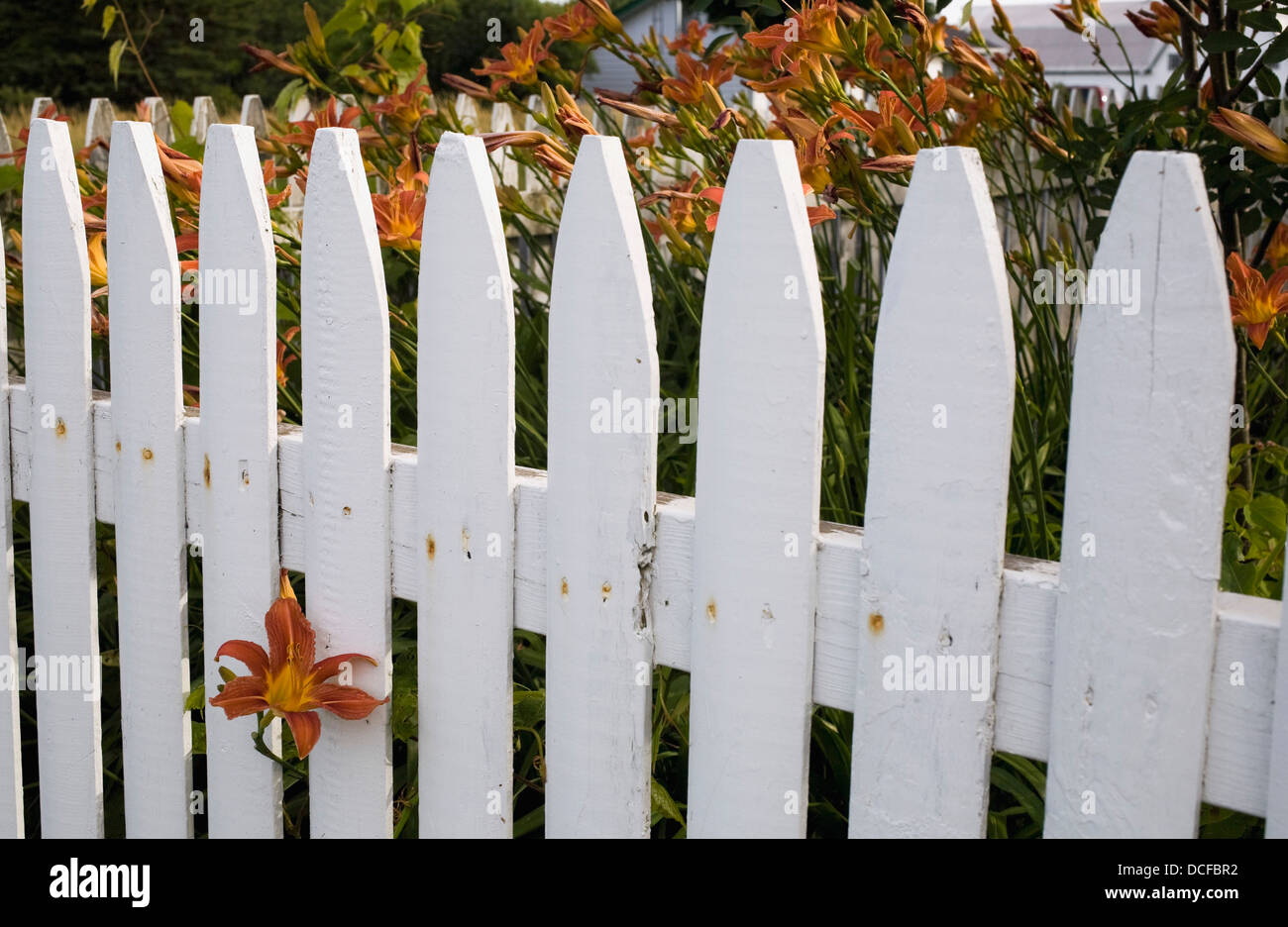 Picket Fence, Quebec, Canada Stock Photo - Alamy