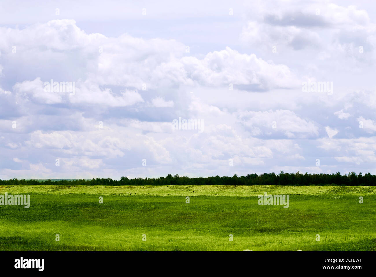 Cumulus clouds over prairie hi-res stock photography and images - Alamy
