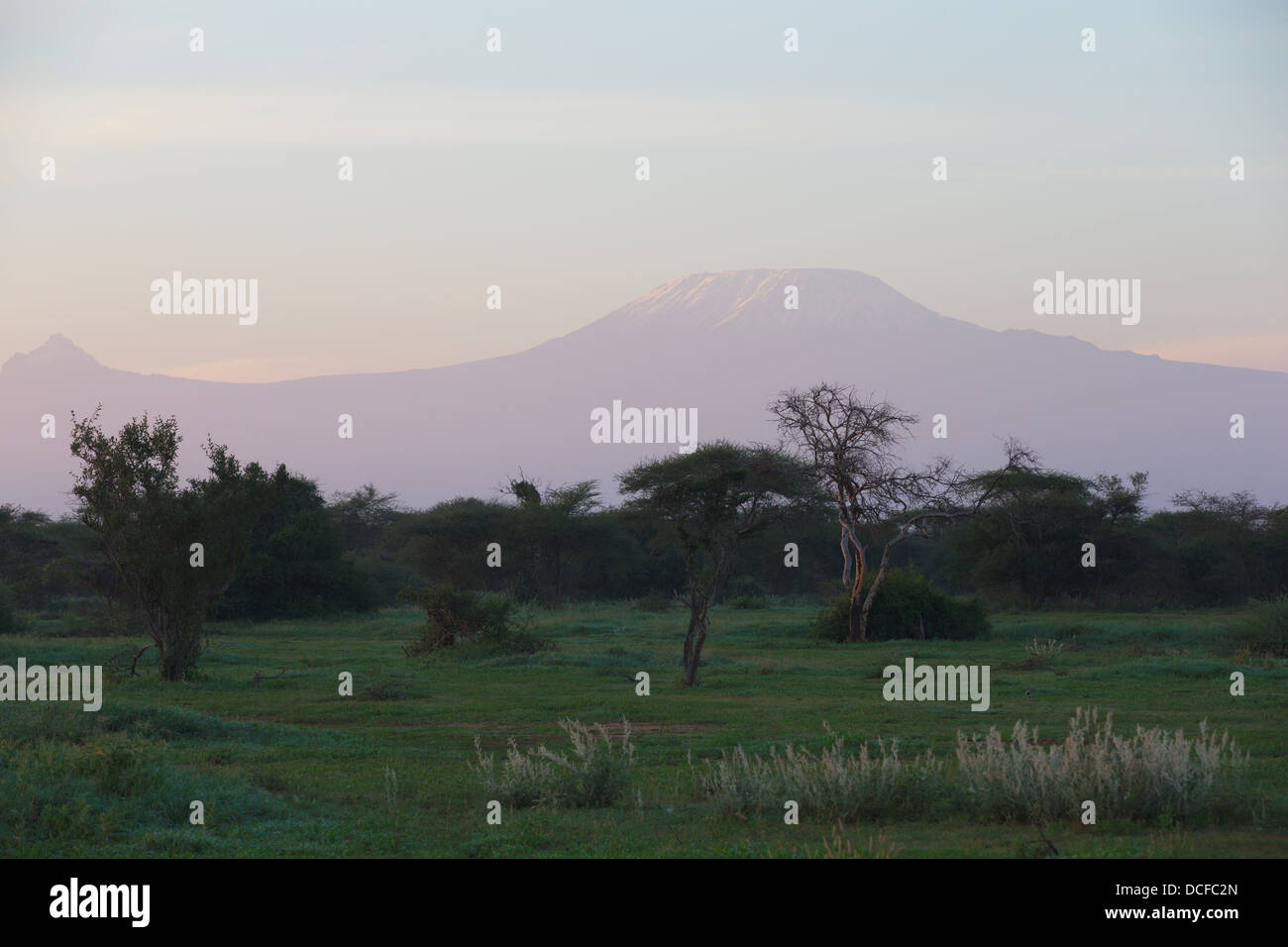 Mt kenya wildlife conservancy hi-res stock photography and images - Alamy