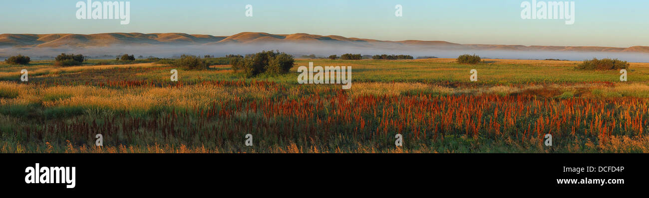 Frenchmen river hi-res stock photography and images - Alamy