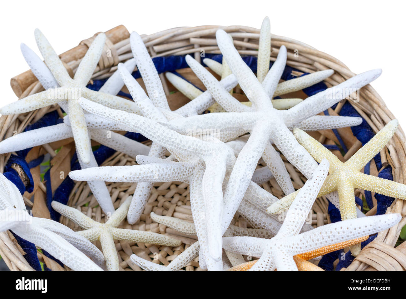 Basket Starfish Stock Photos & Basket Starfish Stock Images - Alamy