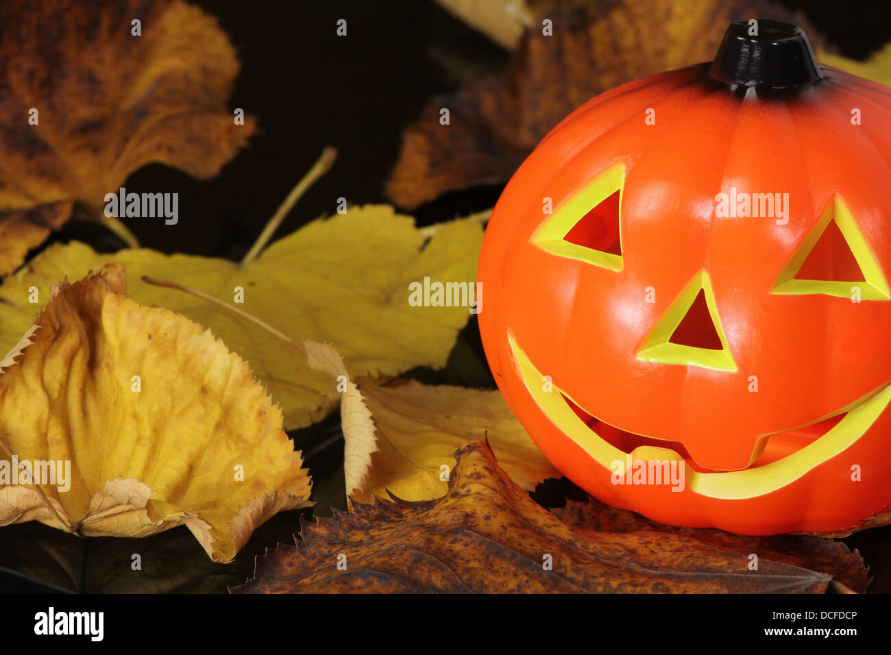 Pumpkin laughing faces hi-res stock photography and images - Alamy