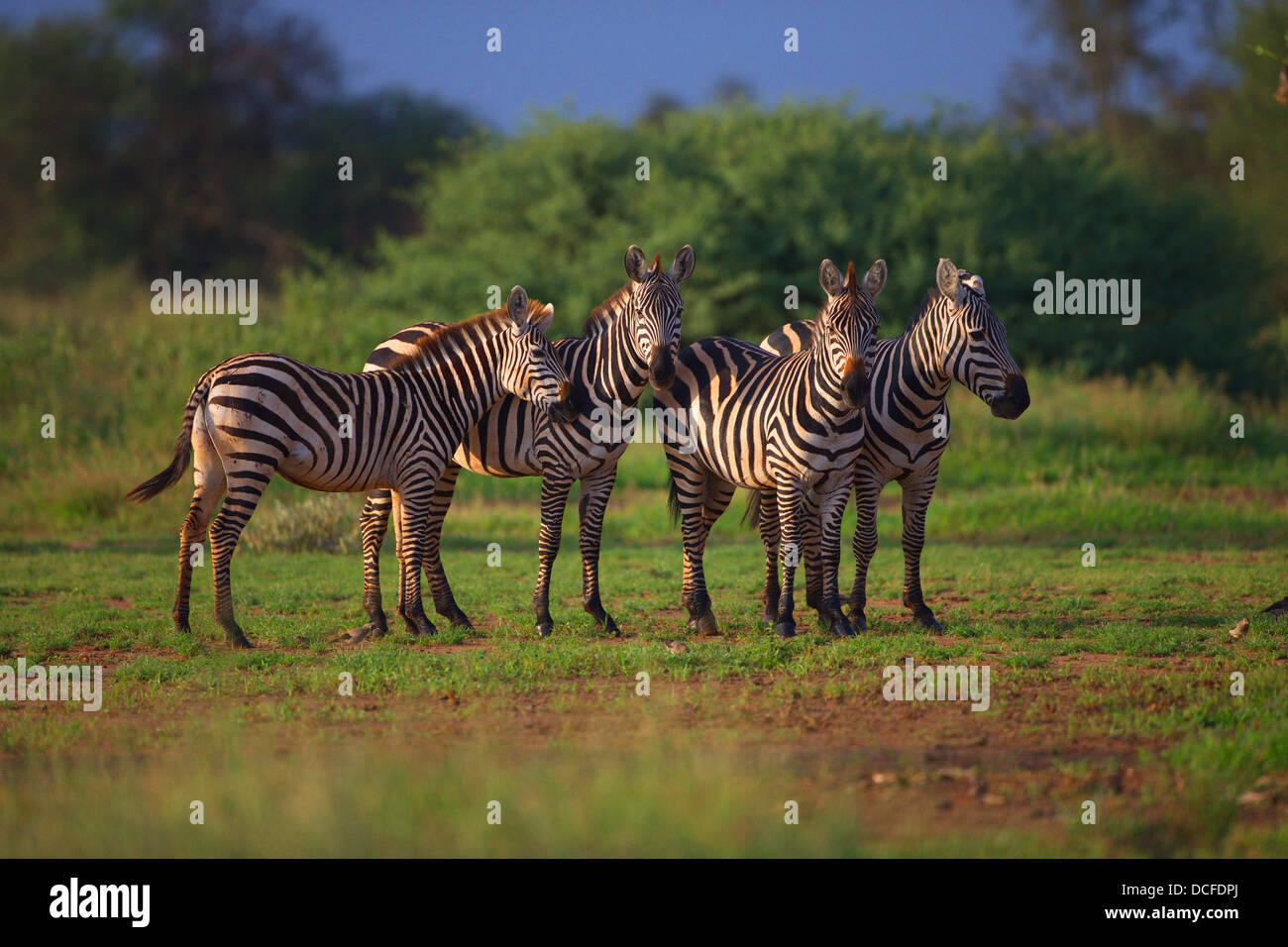 Eating together africa hi-res stock photography and images - Alamy